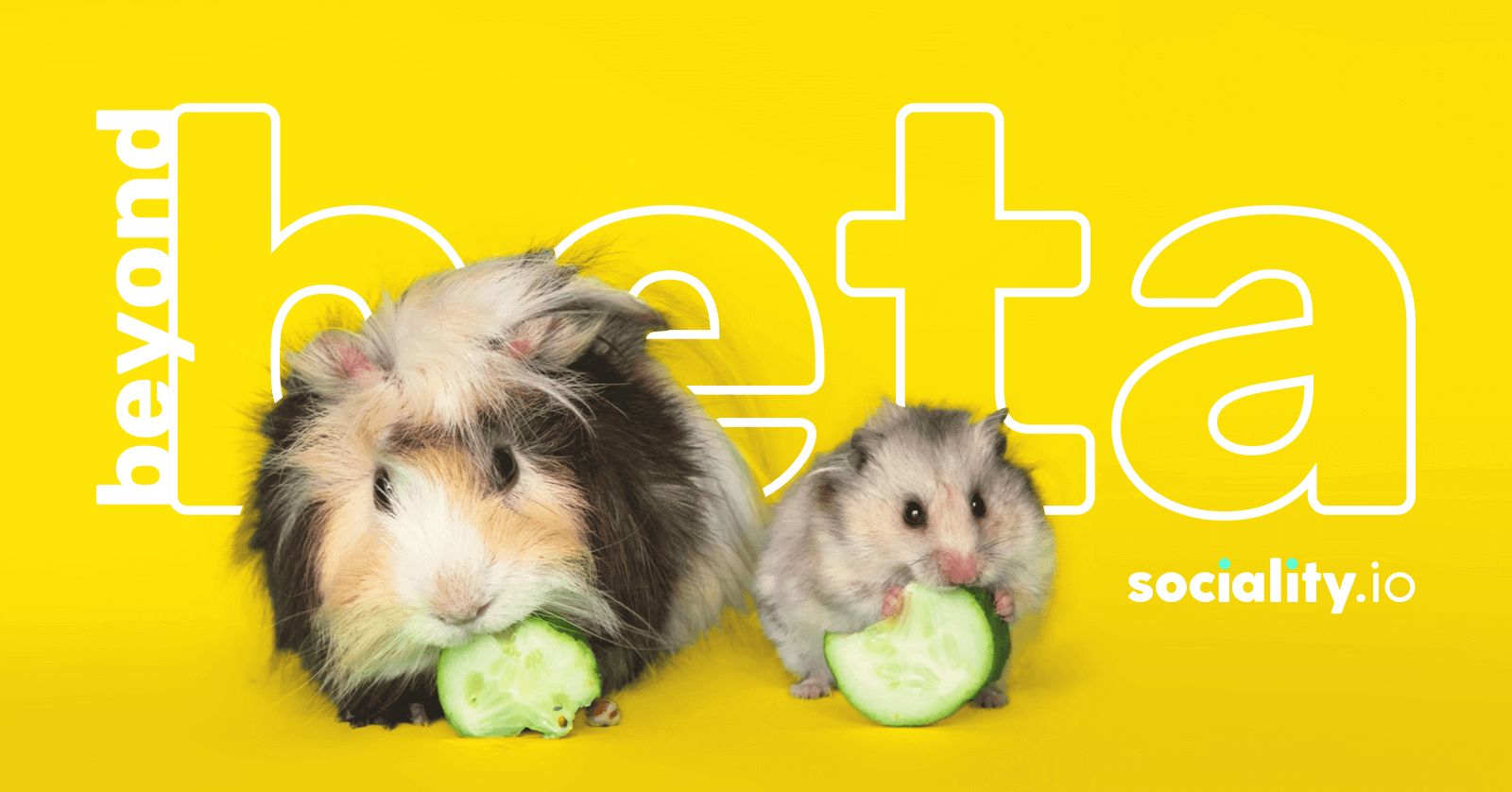 Beyond Beta September 2021 at Sociality.io - Sociality.io Blog