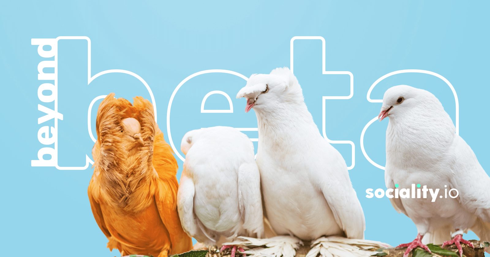 Beyond Beta February 2022 at Sociality.io - Sociality.io Blog