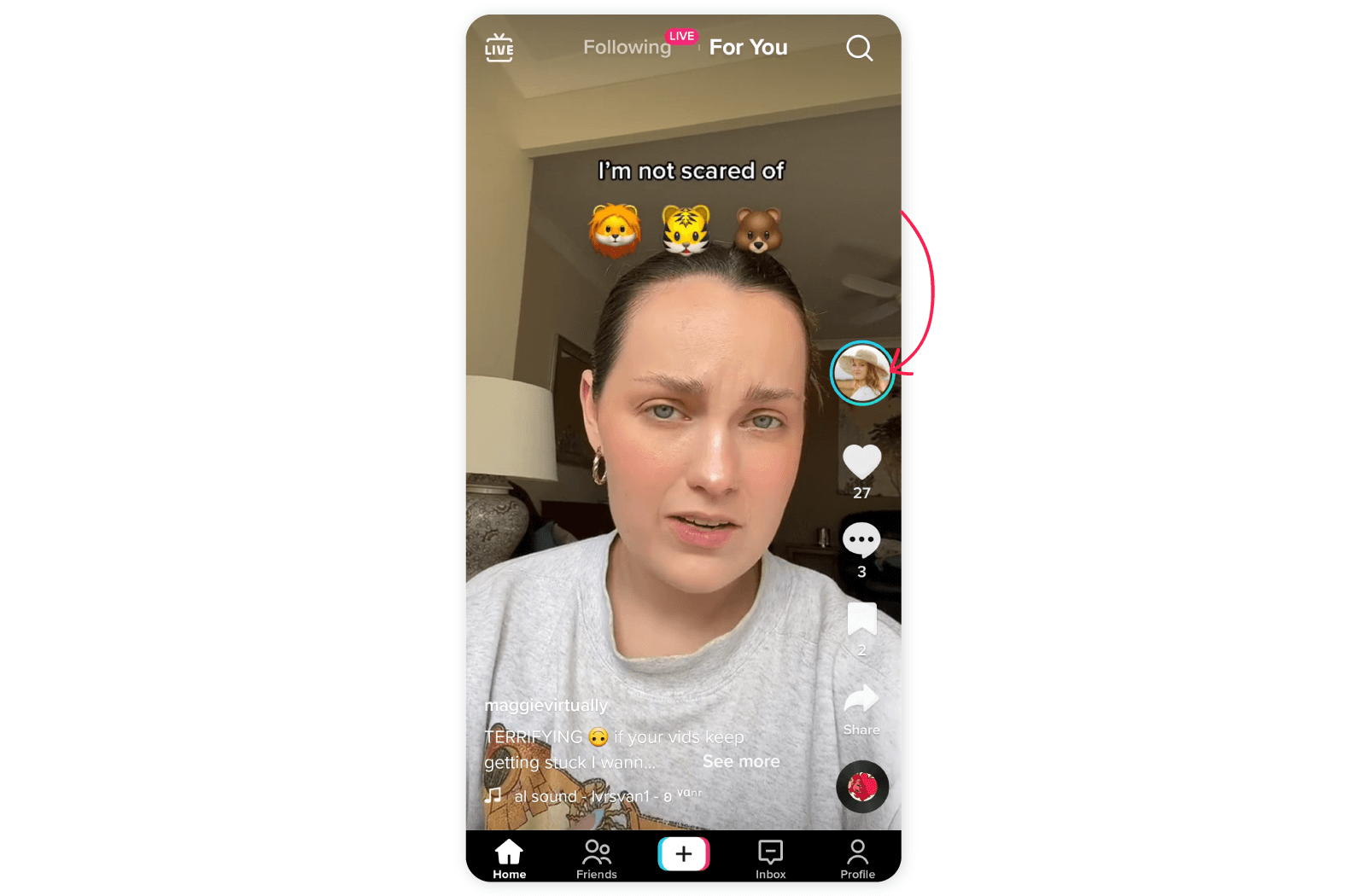 A starter guide to TikTok Stories