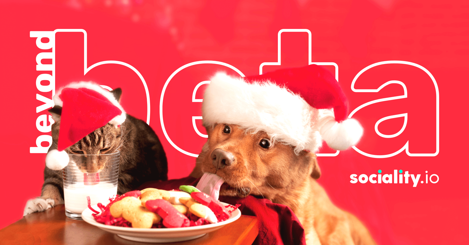 Beyond Beta November 2022 at Sociality.io