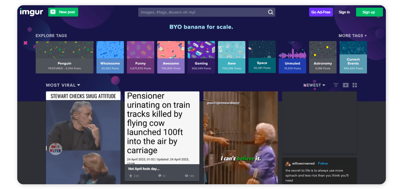 GIFs explained: How to make a GIF for 5 different formats & more