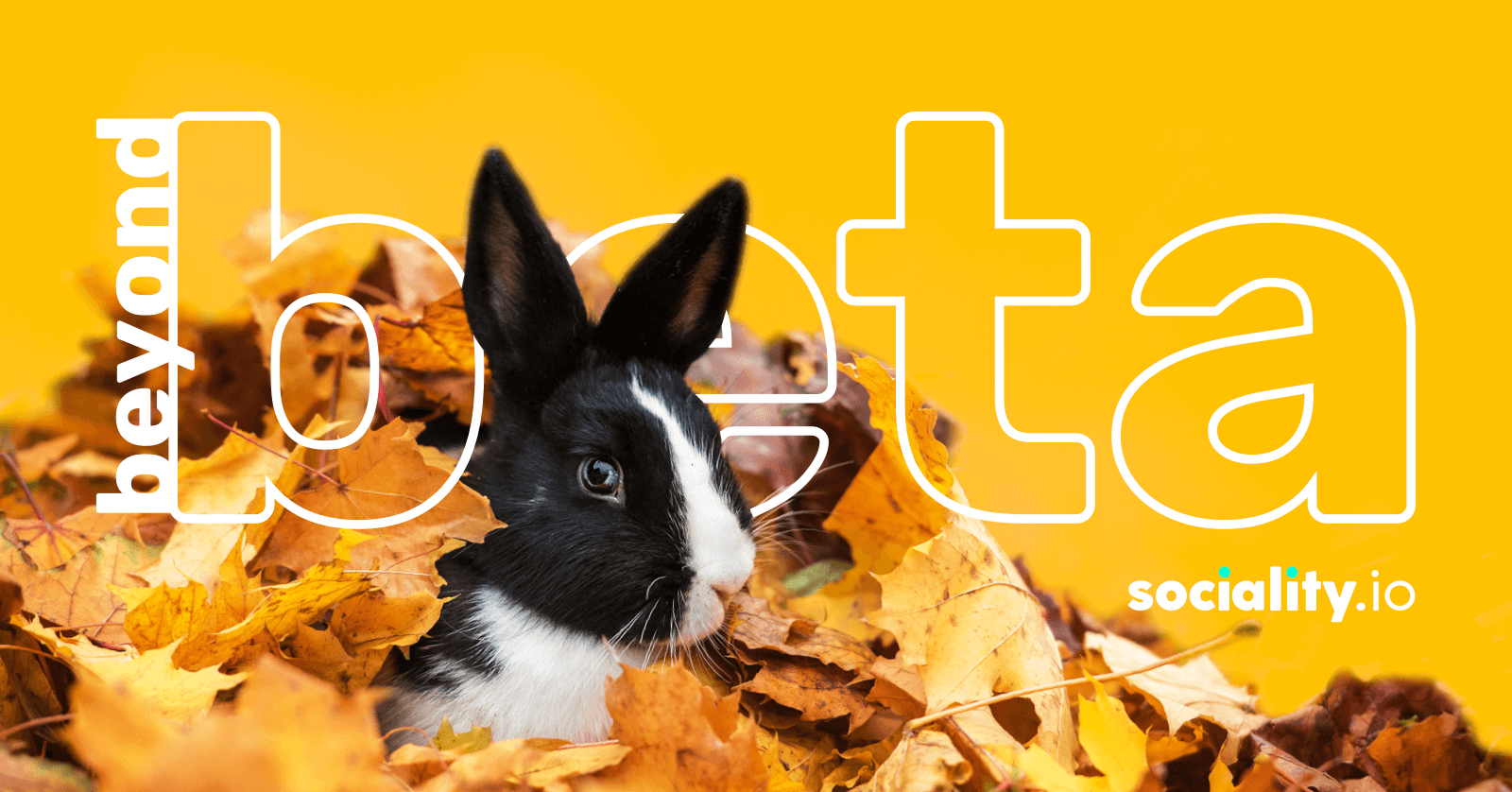 Beyond Beta October 2023 at Sociality.io