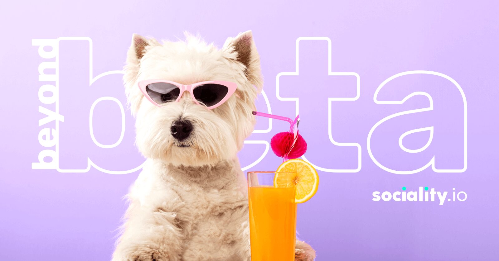 Beyond Beta June 2024 at Sociality.io